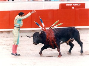 Bullfighting Is The Most Vile And Vicious Form Of Animal Cruelty – The ...